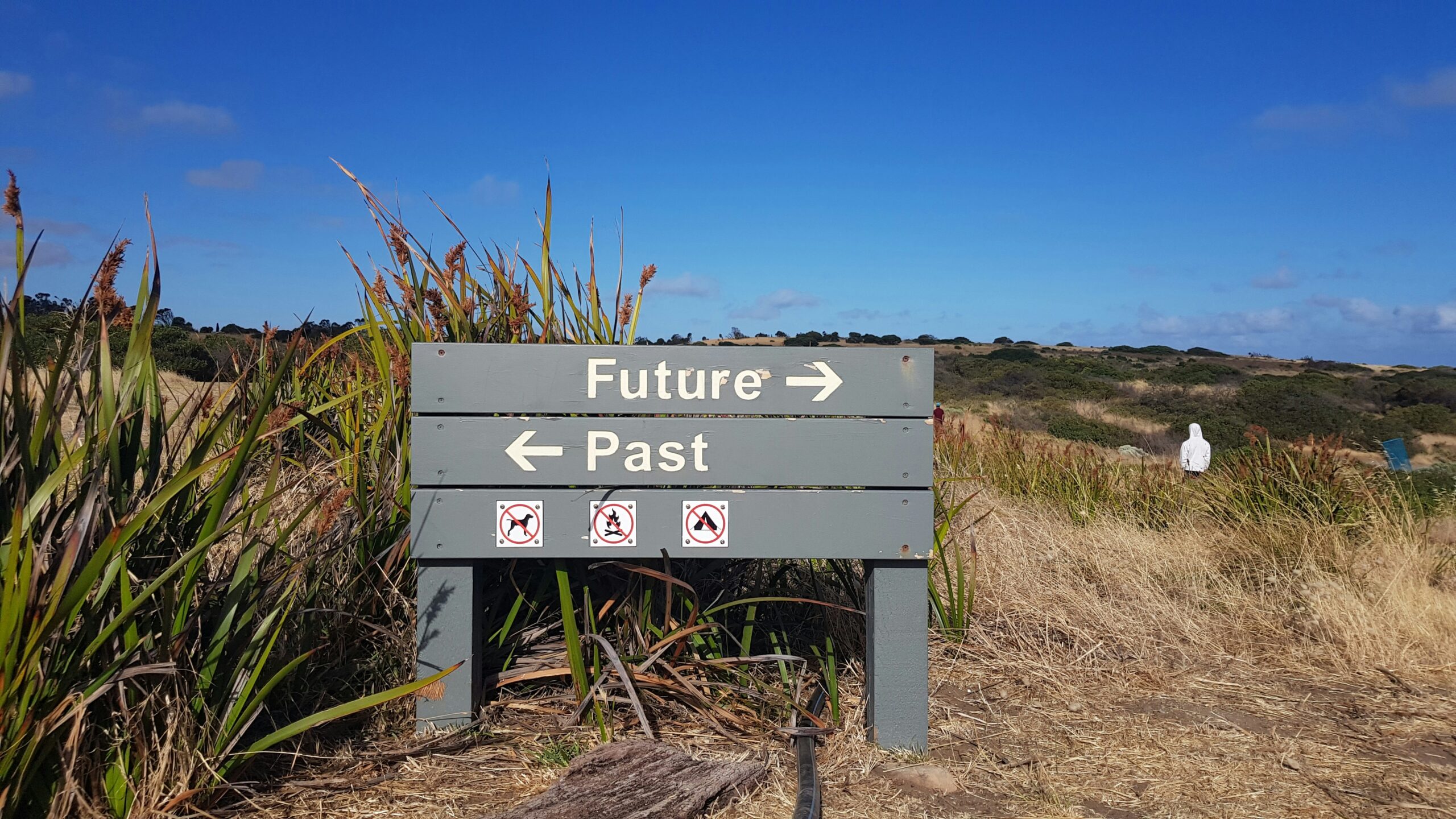 Sustainability Goals: Building a Future World for Our Kids